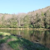 Cook Trail, Pennsylvania - 162 Reviews, Map | AllTrails