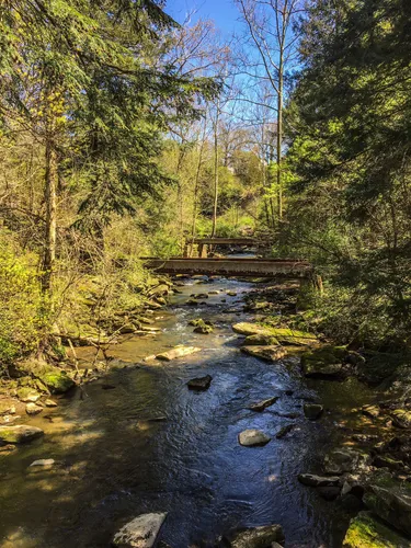 2023 Best Forest Trails in New Castle | AllTrails