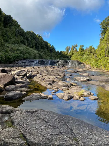 2023 Best River Trails in Te Aroha | AllTrails