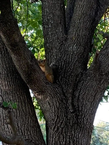 Best Hikes and Trails in Uvalde | AllTrails