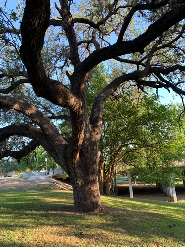 Best Hikes and Trails in Uvalde | AllTrails