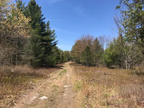 10 Best Hikes and Trails in Freetown Fall River State Forest | AllTrails