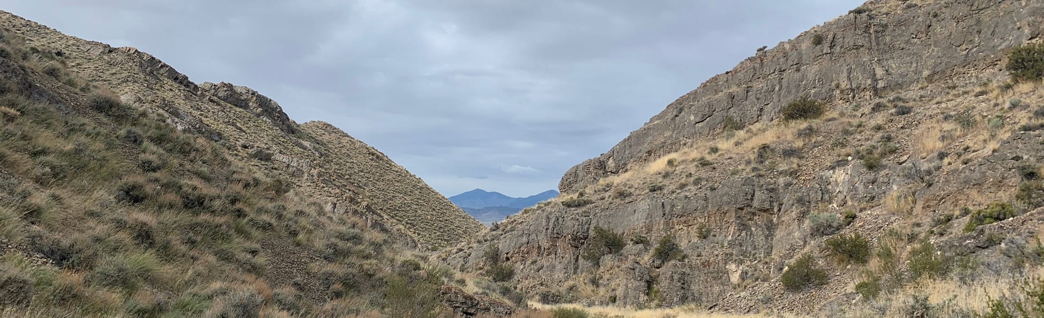 Leppy Peak Loop, Nevada - 10 Reviews, Map | AllTrails