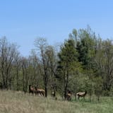 Windrock OHV Trail, Tennessee - 48 Reviews, Map | AllTrails