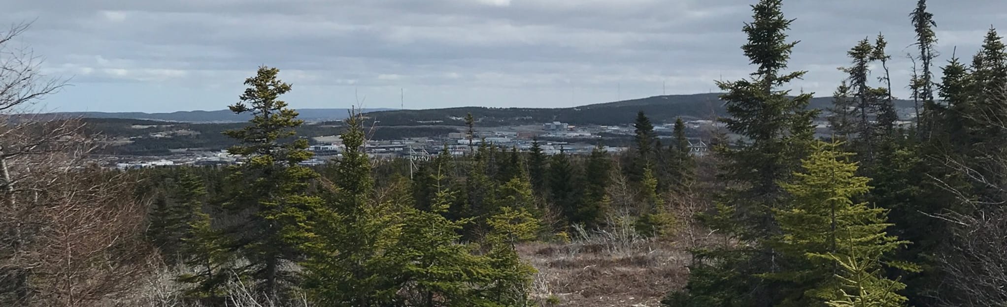 Pippy Park Loop, Newfoundland and Labrador, Canada - 109 Reviews, Map ...