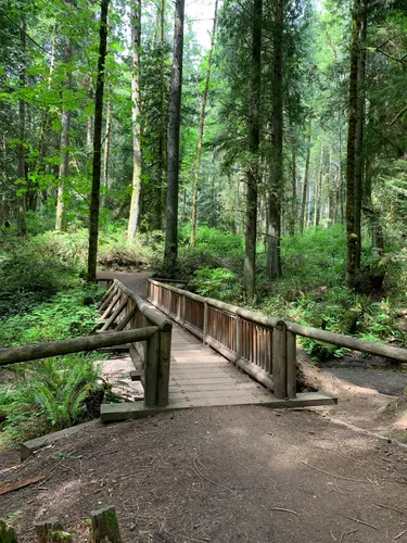 10 Best Trails and Hikes in Bainbridge Island | AllTrails