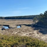 Spirit Pond Preserve, Maine - 108 Reviews, Map | AllTrails