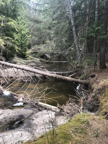 10 Best Walking Trails in Simcoe County Forest | AllTrails