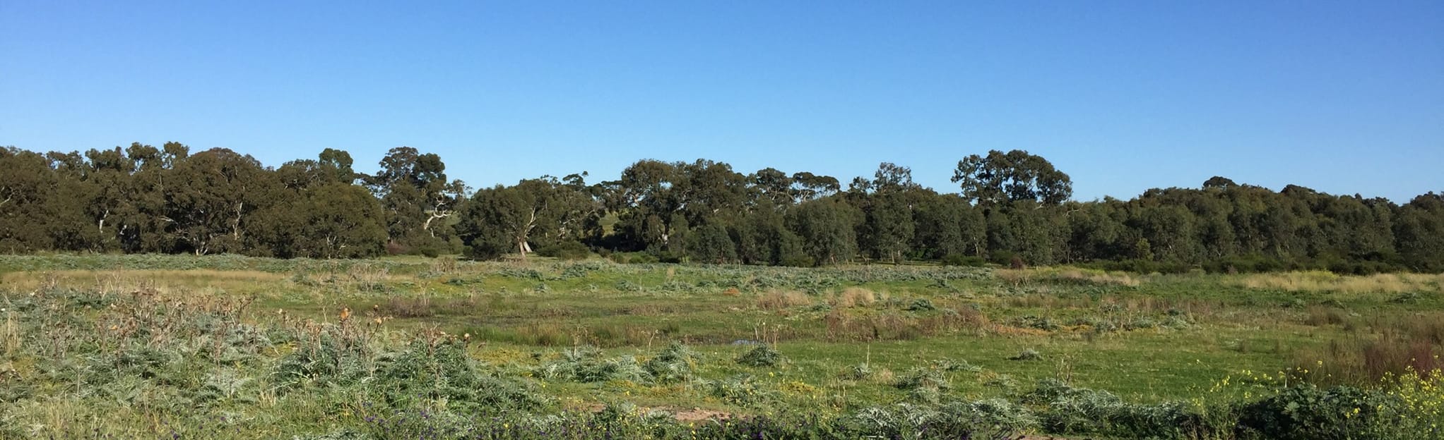 Back Paddock Perimeter Circuit, Victoria, Australia - 94 Reviews, Map ...