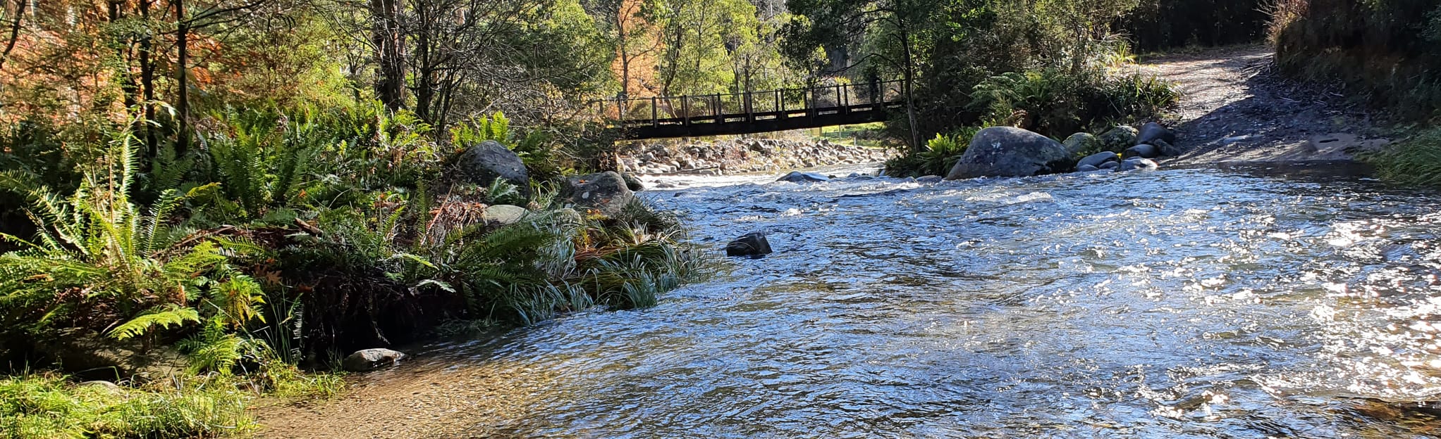 Mount Arthur via Black Possum Track: 9 foto's - Victoria, Australië ...