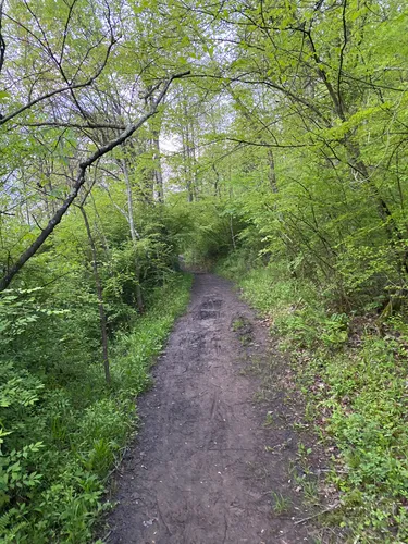 Best Hikes and Trails in Strouds Run State Park | AllTrails