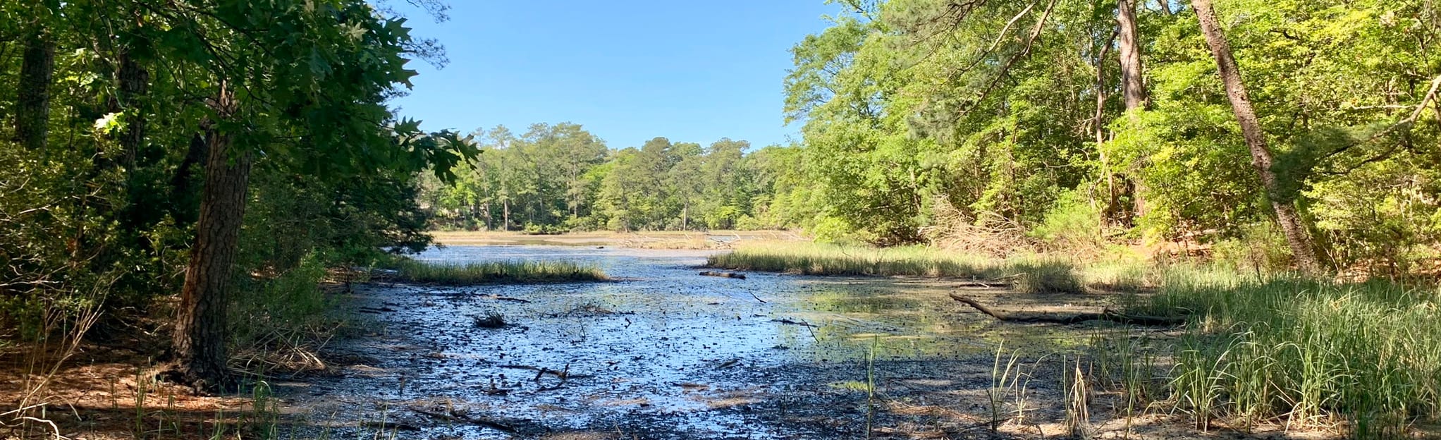 Lake Ballard Riparian and Bluebird Loop: 10 Reviews, Map - Virginia ...