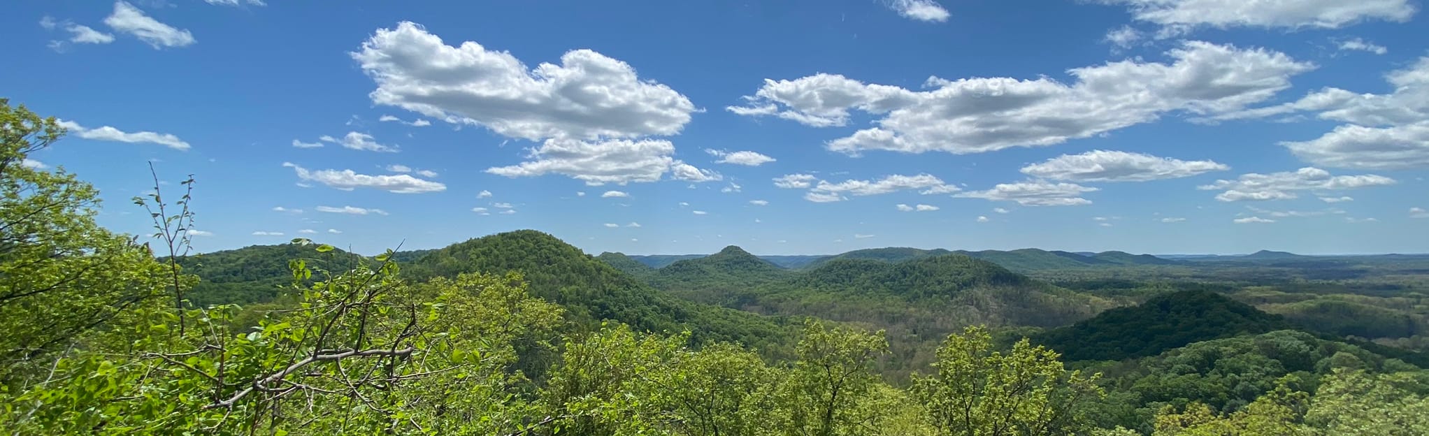 Lily Mountain Trail: 248 Reviews, Map - Kentucky | AllTrails