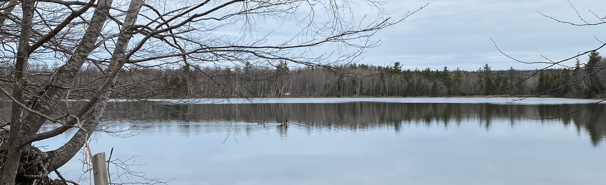 Lily Lake: 7 Reviews, Map - Nova Scotia, Canada | AllTrails