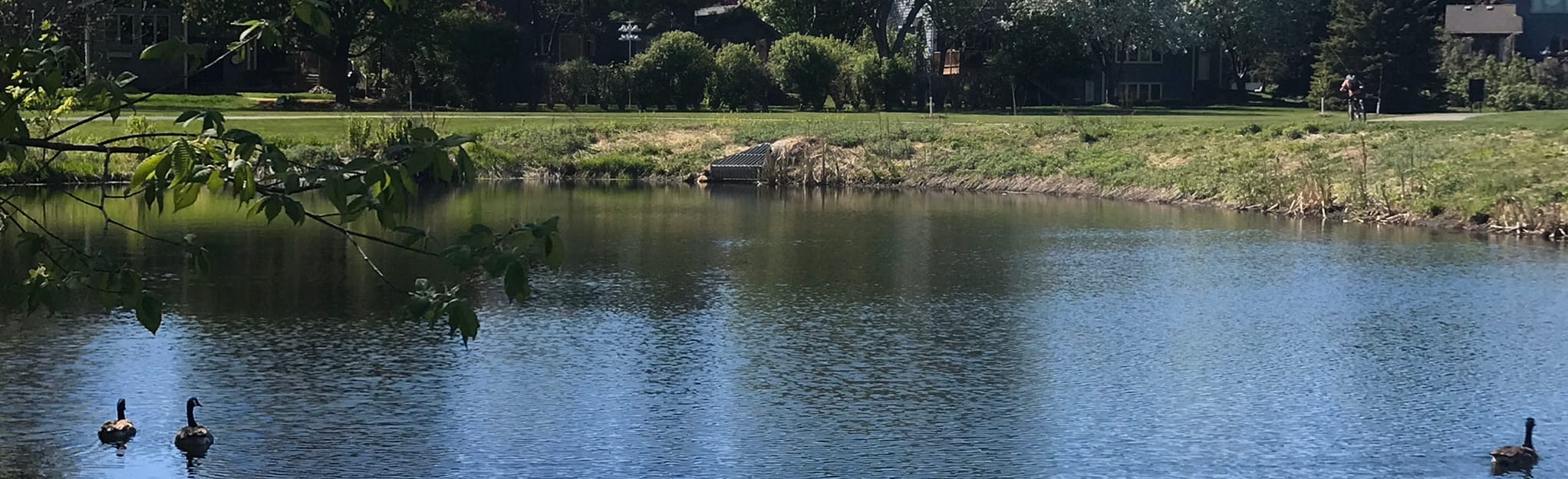 Round Lake Beach Loop, Minnesota - 162 Reviews, Map | AllTrails