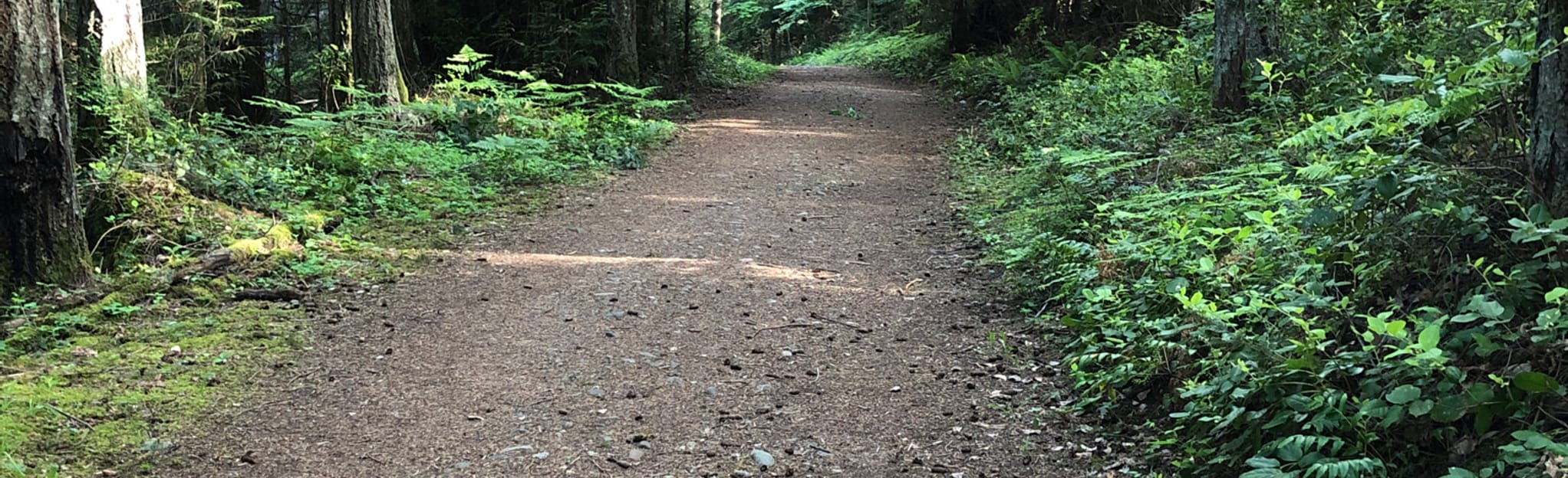 Fuller Lake Arena Grounds from Ashcroft Road - British Columbia, Canada ...
