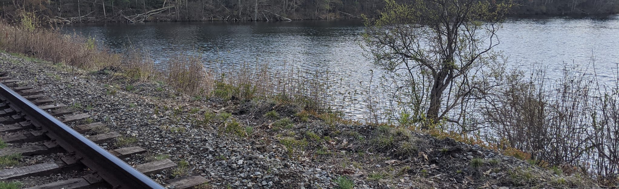 Maple Spring Pond, Massachusetts - 206 Reviews, Map | AllTrails