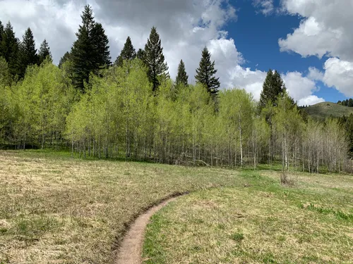 10 Best Trails and Hikes in Pocatello | AllTrails
