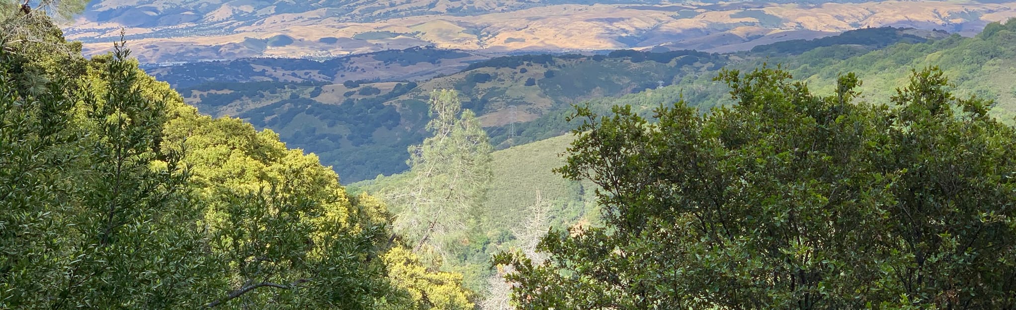 Woods Trail and Barlow Road Loop, California - 156 Reviews, Map | AllTrails