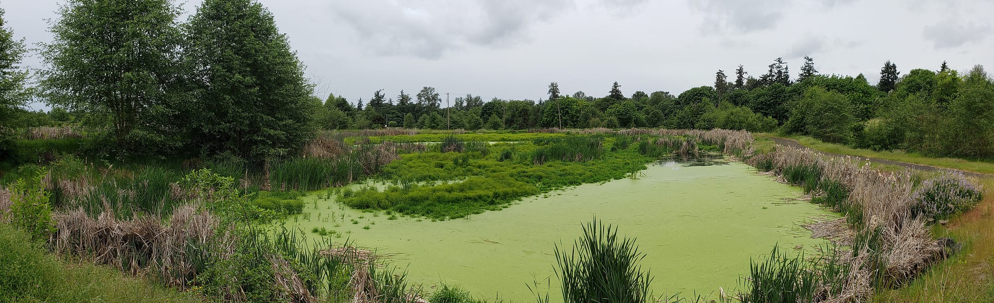 Talking Water Loop: 310 Reviews, Map - Oregon | AllTrails