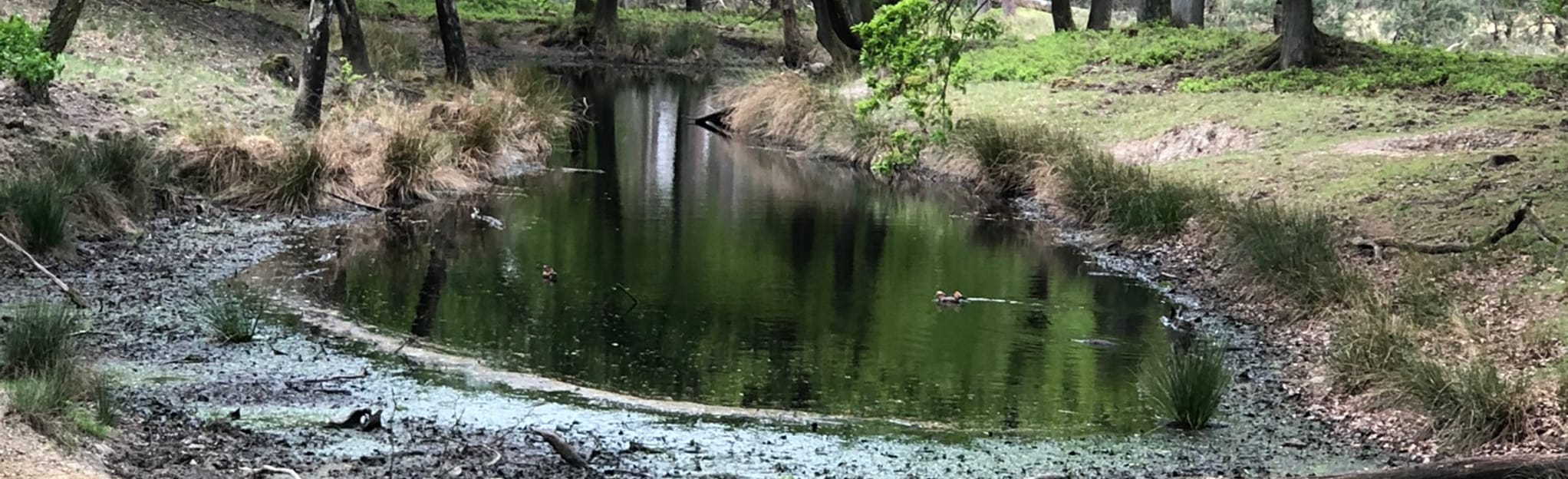 Wenum-Wiesel - Kroondomein het Loo: 33 foto's - Gelderland, Nederland ...