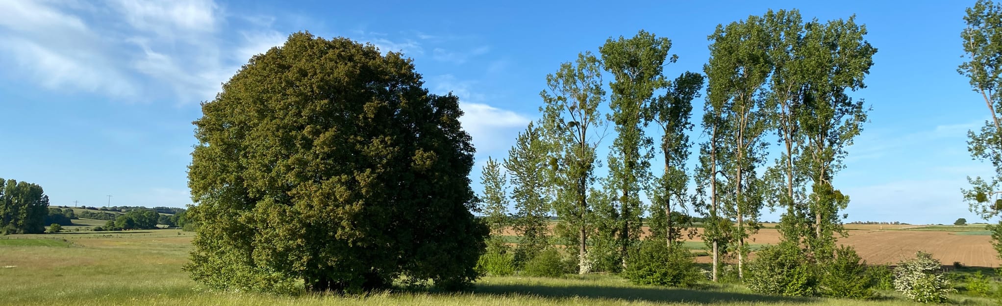 Weiler - Filsdorf - Aspelt: 31 Reviews, Map - Luxembourg, Luxembourg ...