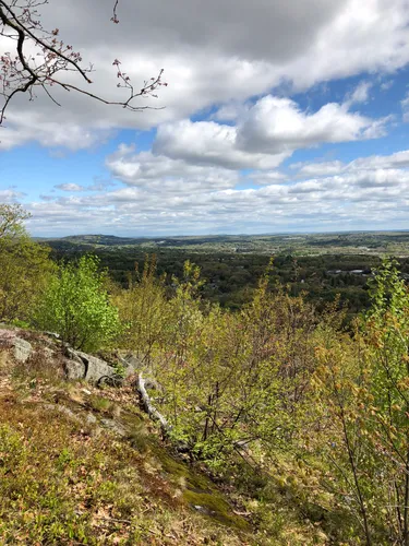 10 Best Walking Trails in Leominster | AllTrails