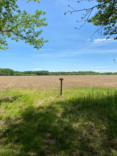 Best Hikes and Trails in Blackbird State Forest | AllTrails