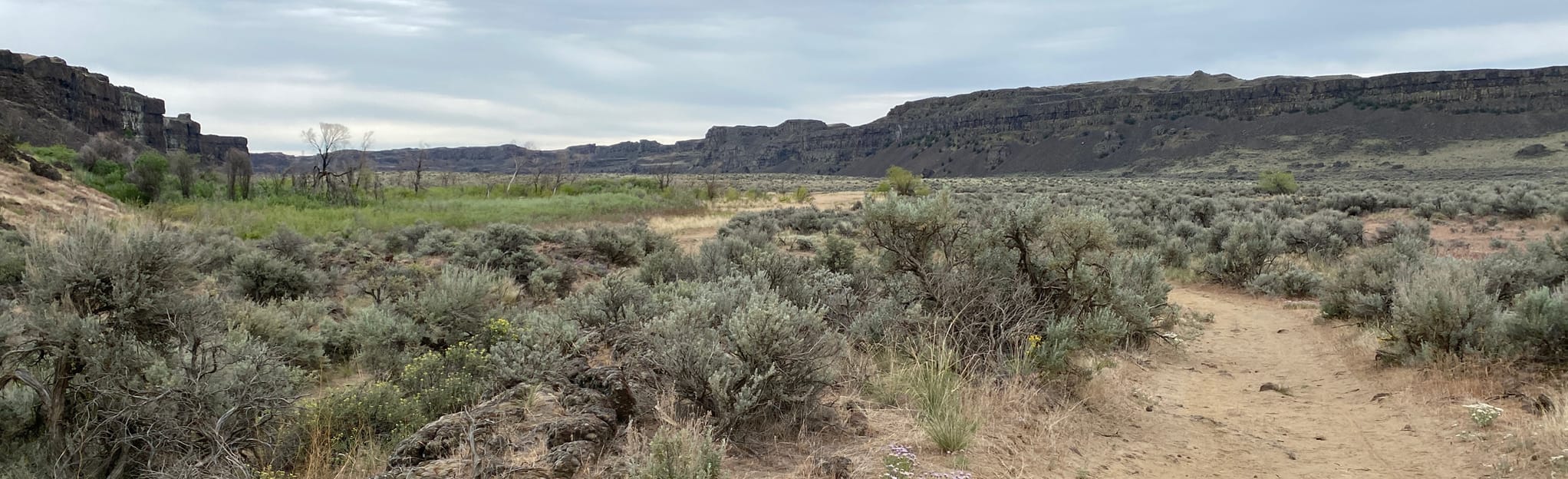 Dusty Lake and Ancient Lakes Trail: 122 Reviews, Map - Washington ...