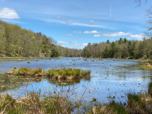 10 Best Lake Trails in Wawayanda State Park | AllTrails