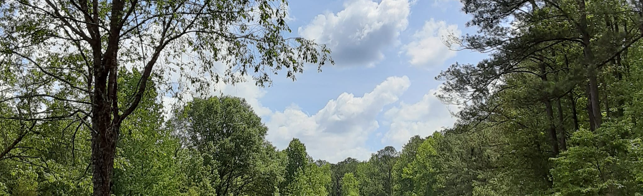 Cochran Mill Yellow Trail, Georgia - 485 Reviews, Map | AllTrails