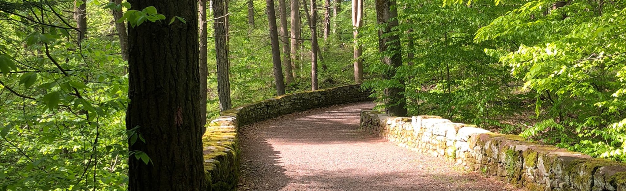 Wadsworth Falls Loop: 3282 Reviews, Map - Connecticut | AllTrails