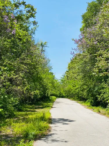 Best Hikes and Trails in North Point State Park | AllTrails