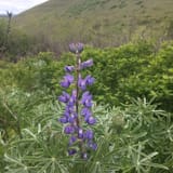 Red Bird Trail, Idaho - 32 Reviews, Map | AllTrails