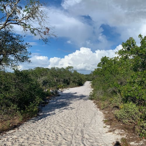 2023 Best trails in Allen David Broussard Catfish Creek Preserve State ...