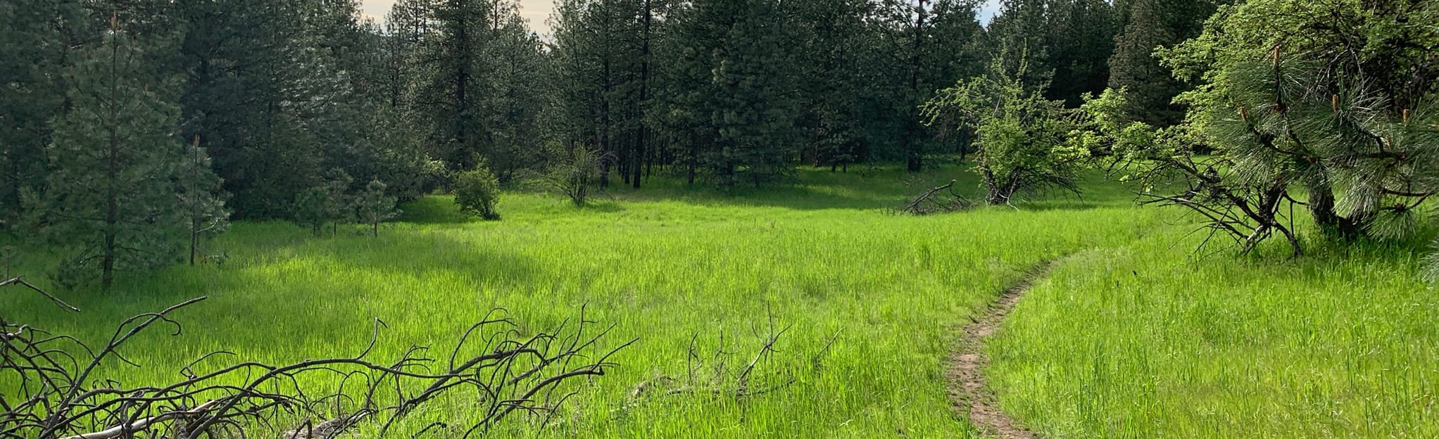 Mackenzie Natural Area Loop, Washington - 234 Reviews, Map | AllTrails