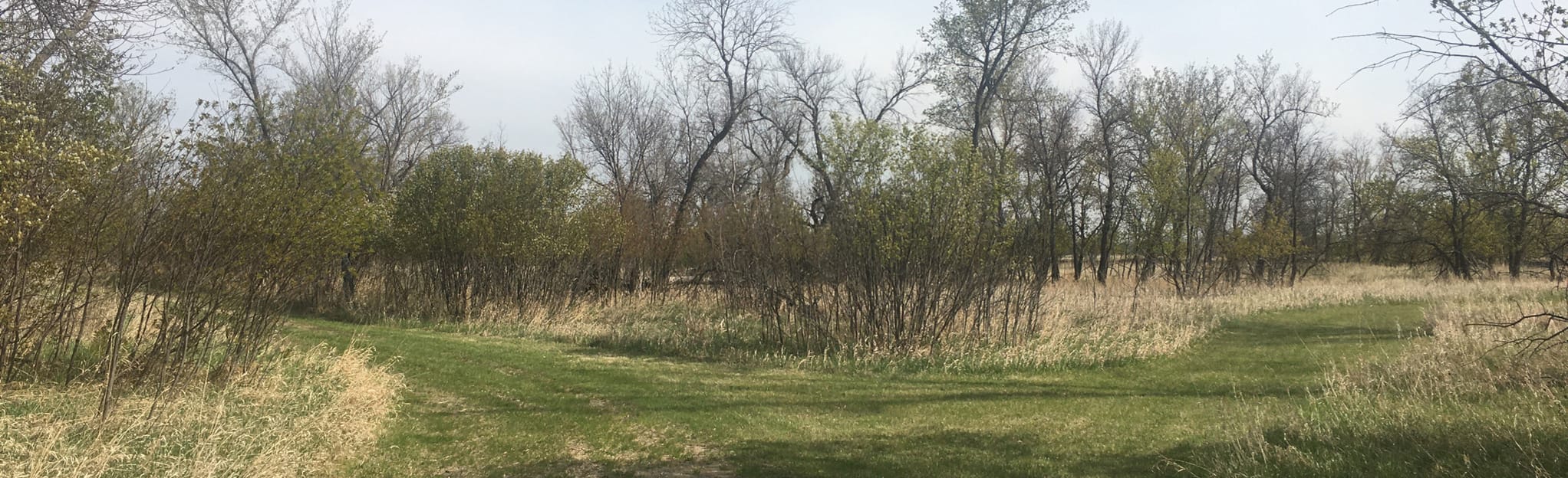 Two Rivers Trail: 6 Reviews, Map - North Dakota | AllTrails