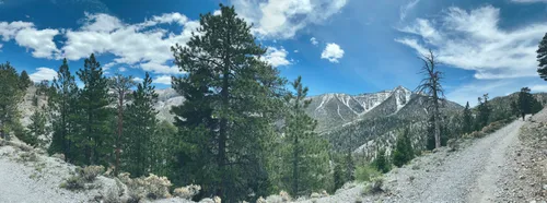 10 Best Hikes and Trails in Spring Mountains National Recreation Area ...