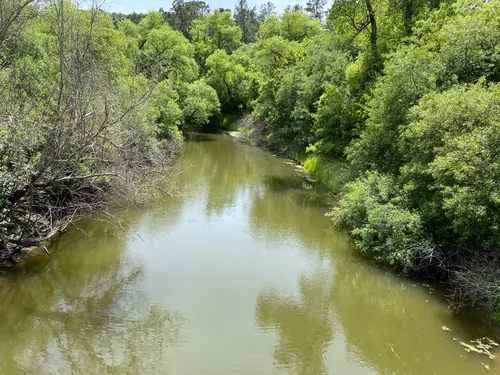 10 Best Hikes and Trails in East Bay Municipal Utility District Lands ...