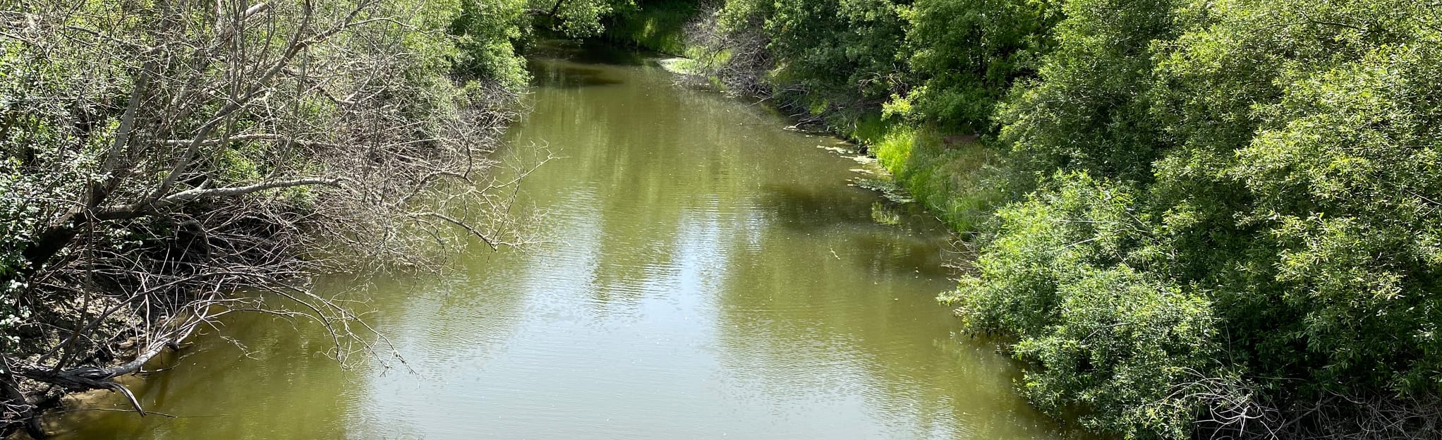 Rimer Creek Trail and Rocky Ridge Trail, California - 125 Reviews, Map ...