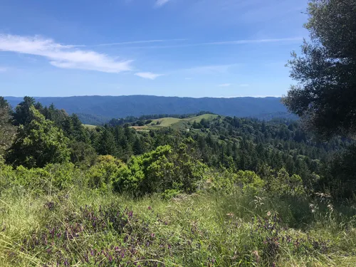 Best Views Trails in Russian Ridge Open Space Preserve | AllTrails