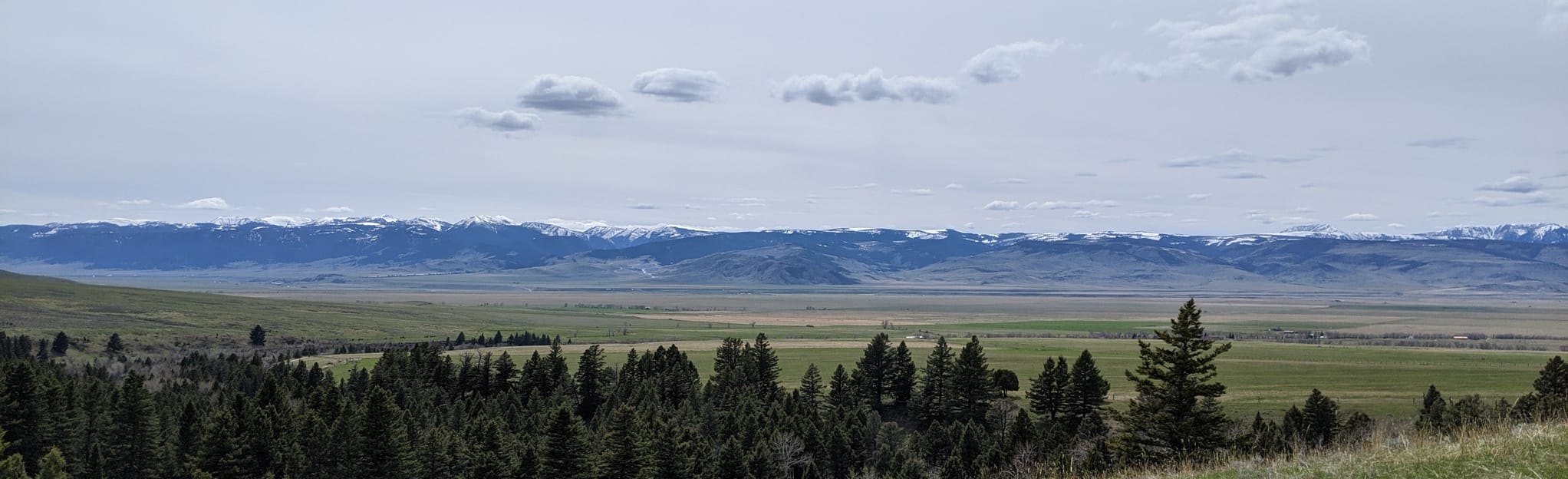 Cameron Lake Trail: 21 Reviews, Map - Montana | AllTrails