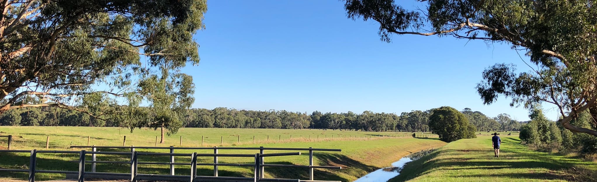 Devilbend Reservoir Loop, Victoria, Australia - 256 Reviews, Map | AllTrails