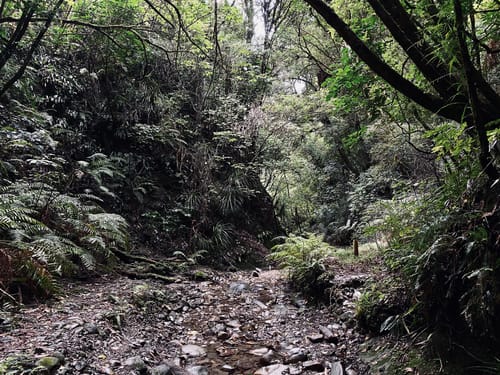 Best 10 Trails and Hikes in Gisborne | AllTrails