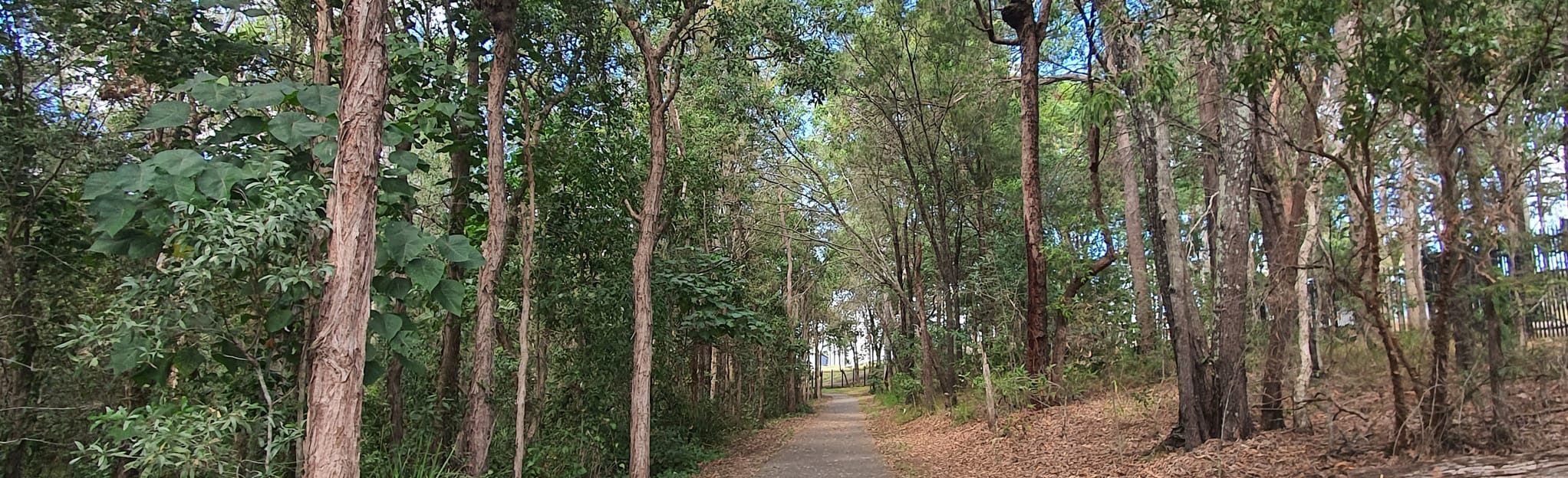 Scrubby Creek Shared Path and Slacks Creek Corridor, Queensland ...