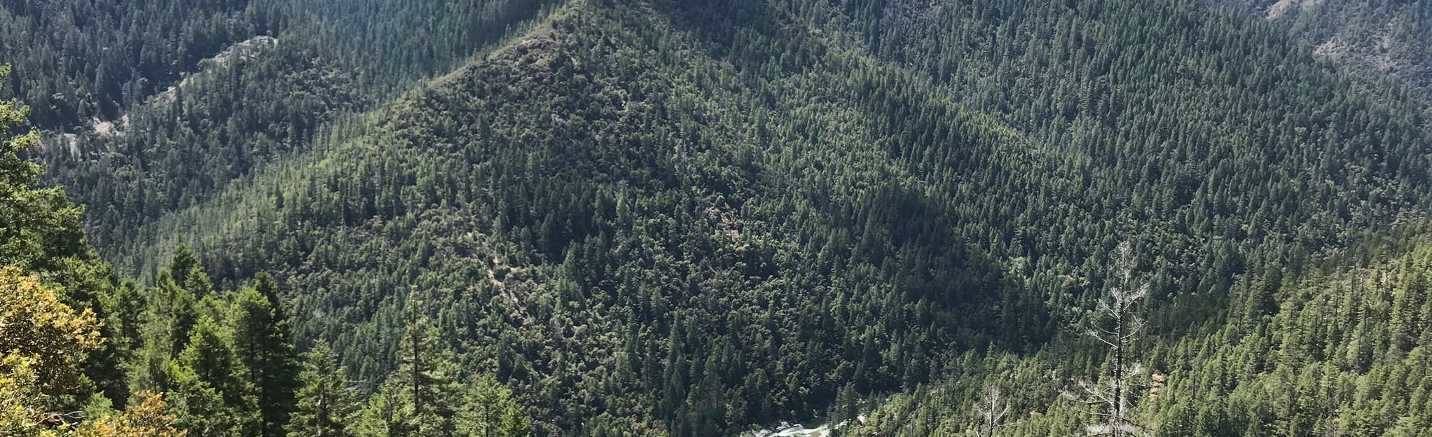 Hall's Ranch Trail: 10 Reviews, Map - California | AllTrails