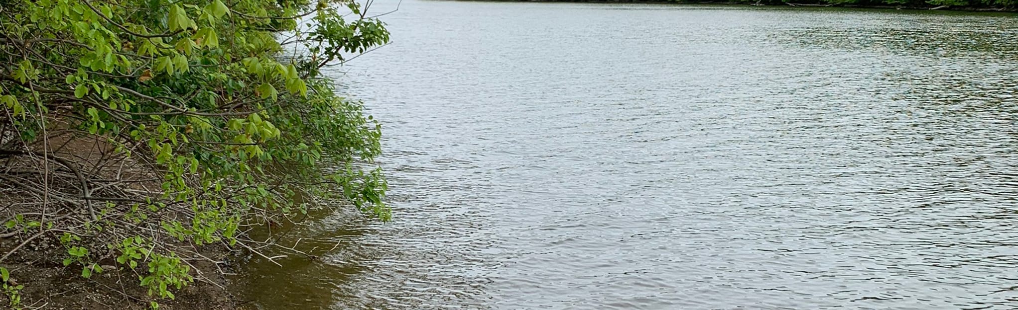 AllTrails | Red Trail Marsh Creek: 111 Reviews, Map - Pennsylvania