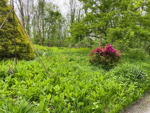 Best Hikes and Trails in Blue Marsh Lake National Recreation Area ...