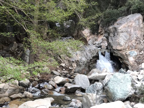 2023 Best 10 Trails and Hikes in Forest Falls | AllTrails