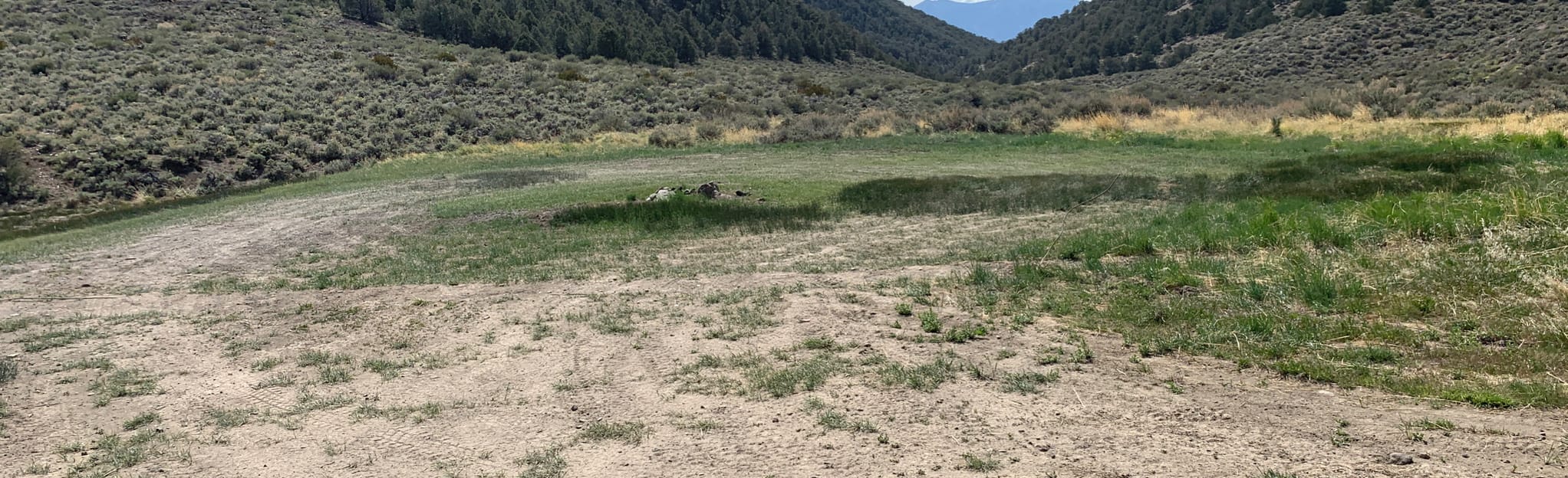 Fish Springs to Sunrise Pass OHV Trails: 24 Reviews, Map - Nevada ...